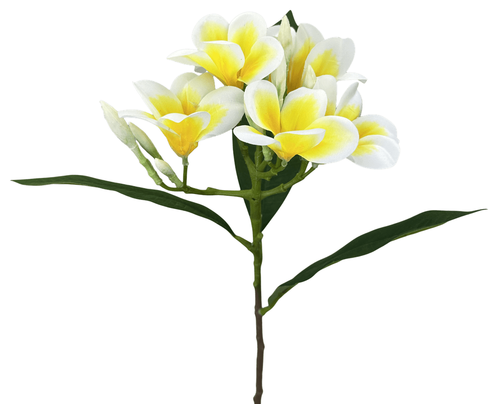 21" Plumeria Spray (5): White/Yellow - 64054WT - The Wreath Shop